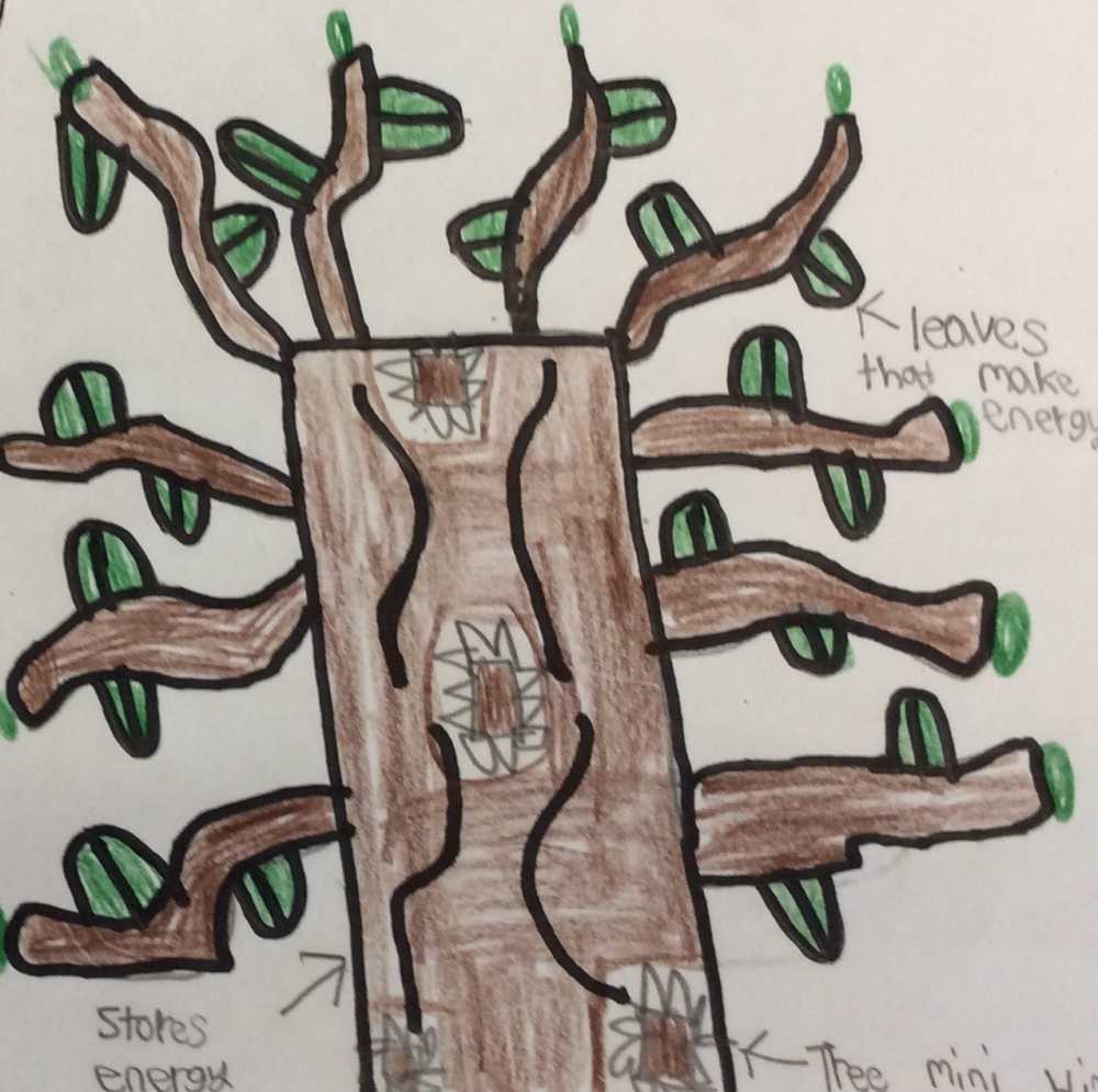 Tree-Winder : Little Inventors